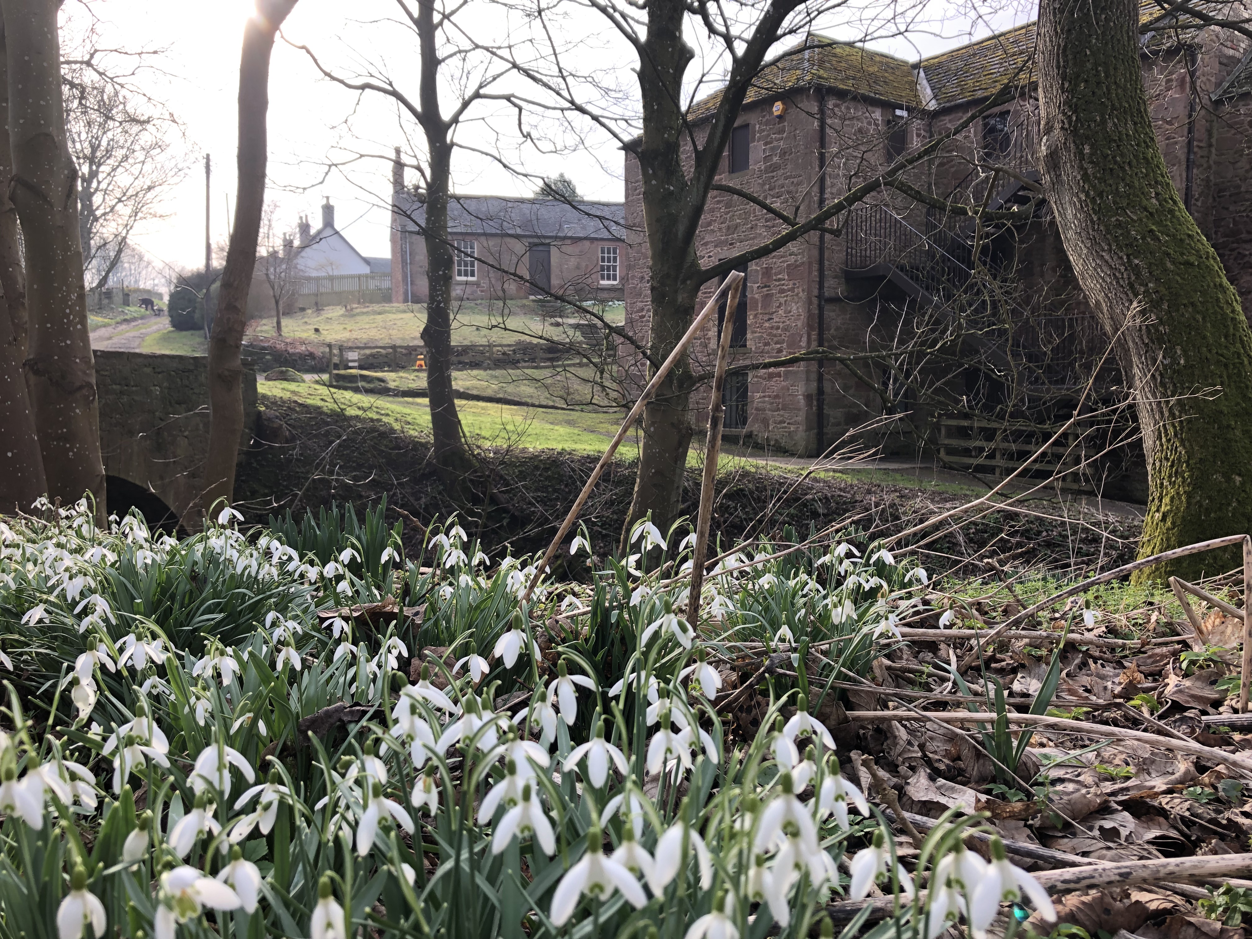 It’s Spring! – Sandra Ireland